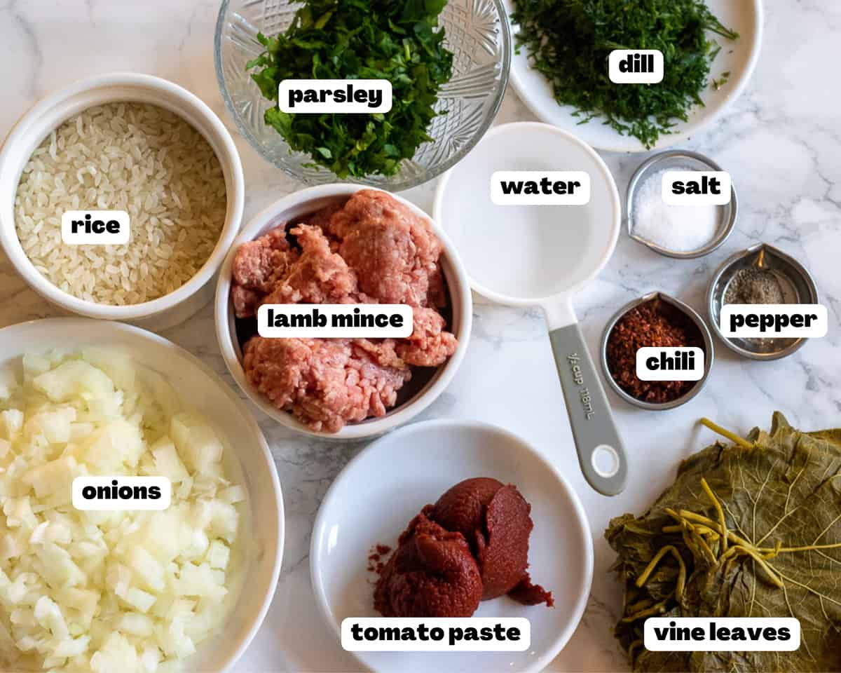 Meat Stuffed Grape Leaves (Dolmas) - Cooking Gorgeous