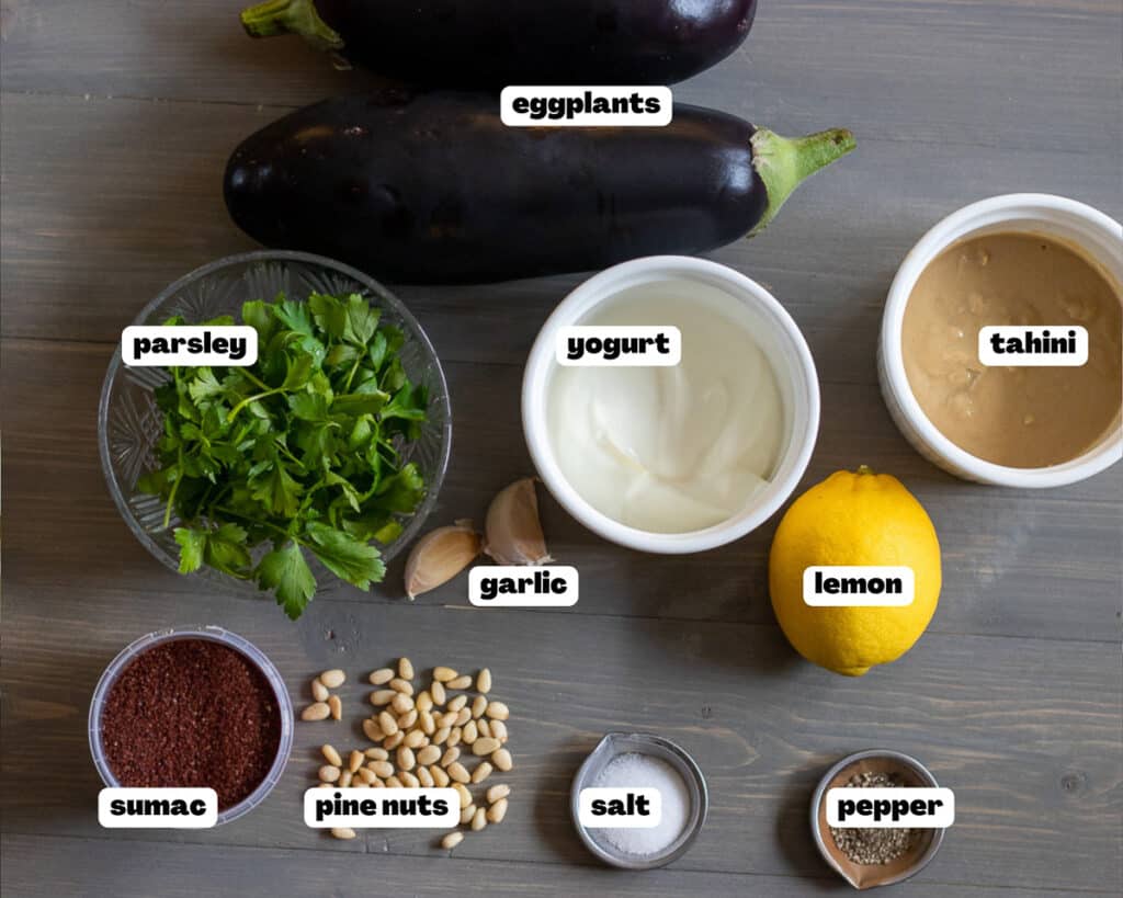 Mutabal (Roasted Eggplant Dip) - Cooking Gorgeous
