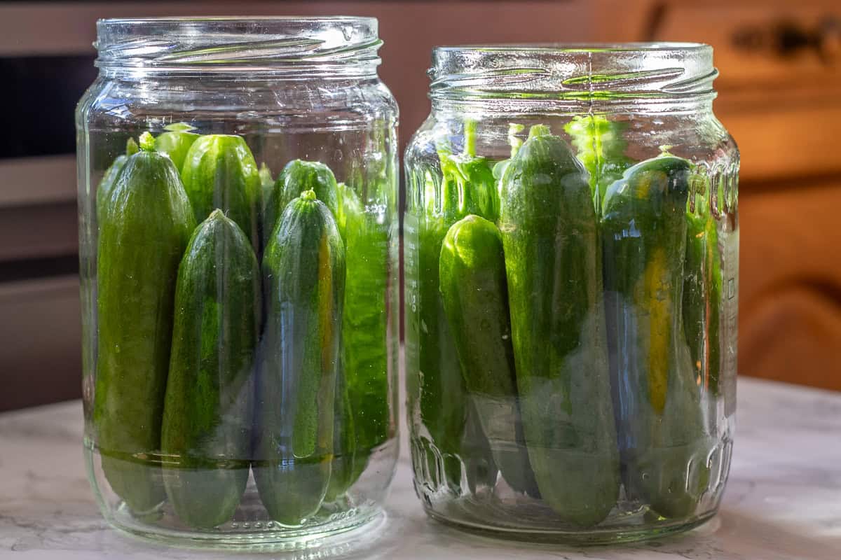 Pickled Cucumber - Salatalık Turşusu - Cooking Gorgeous